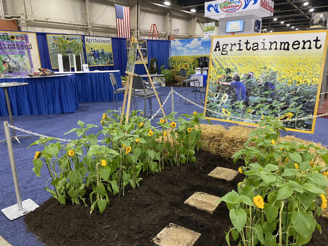 A day at the Pennsylvania Farm Show | News, Sports, Jobs - The Express